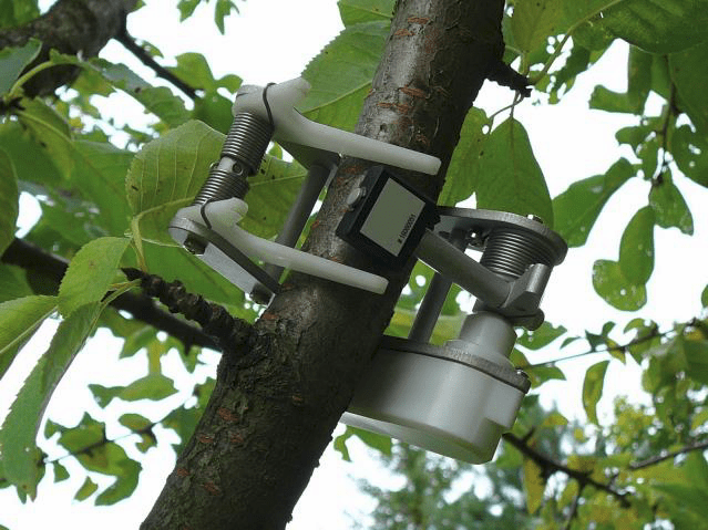 DP40 Pivot Dendrometer - ICT International